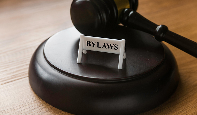 HOA Board Basics: Everything You Need To Know - HOA Management Company ...