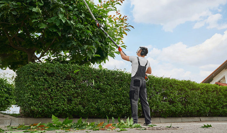 HOA Backyard Rules: What Can And Can't Homeowners Do