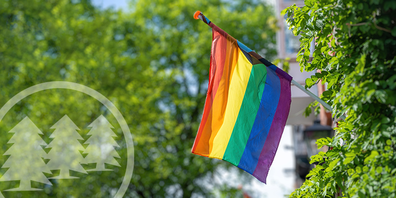 Homeowners Seek Answers Over HOA Flag Violations | CMG