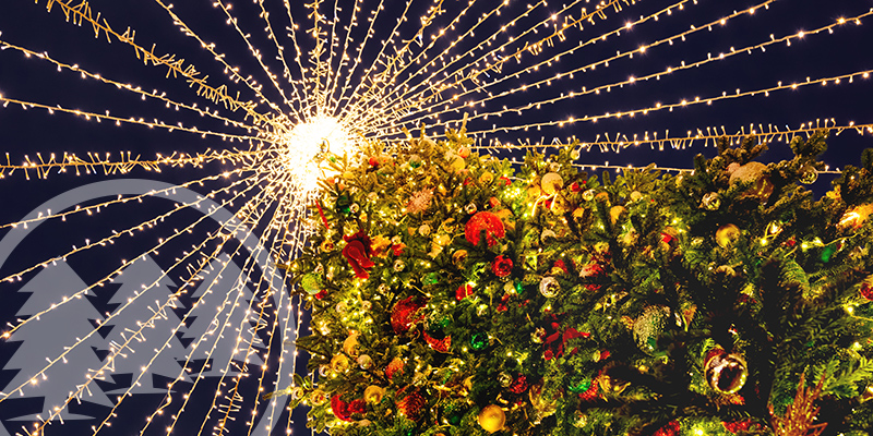 How To Plan A Community Christmas Tree Lighting Event Cmg