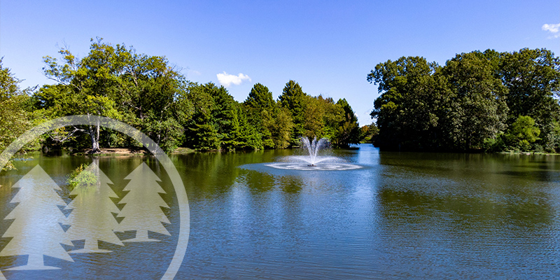 Chickasaw Gardens Gate Issue Sparks Heated Debate | CMG