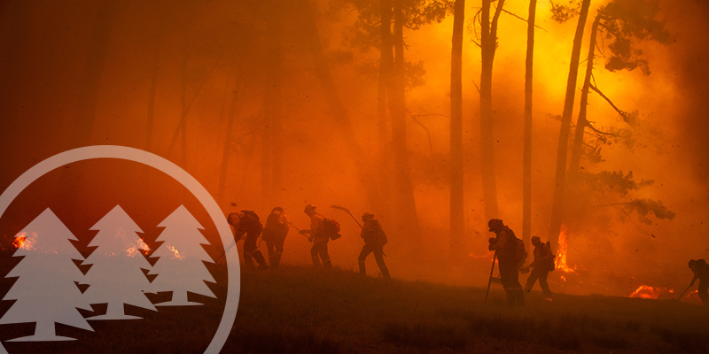 Myrtle Beach Fire: Woman Charged For Wildfire | Cedar News